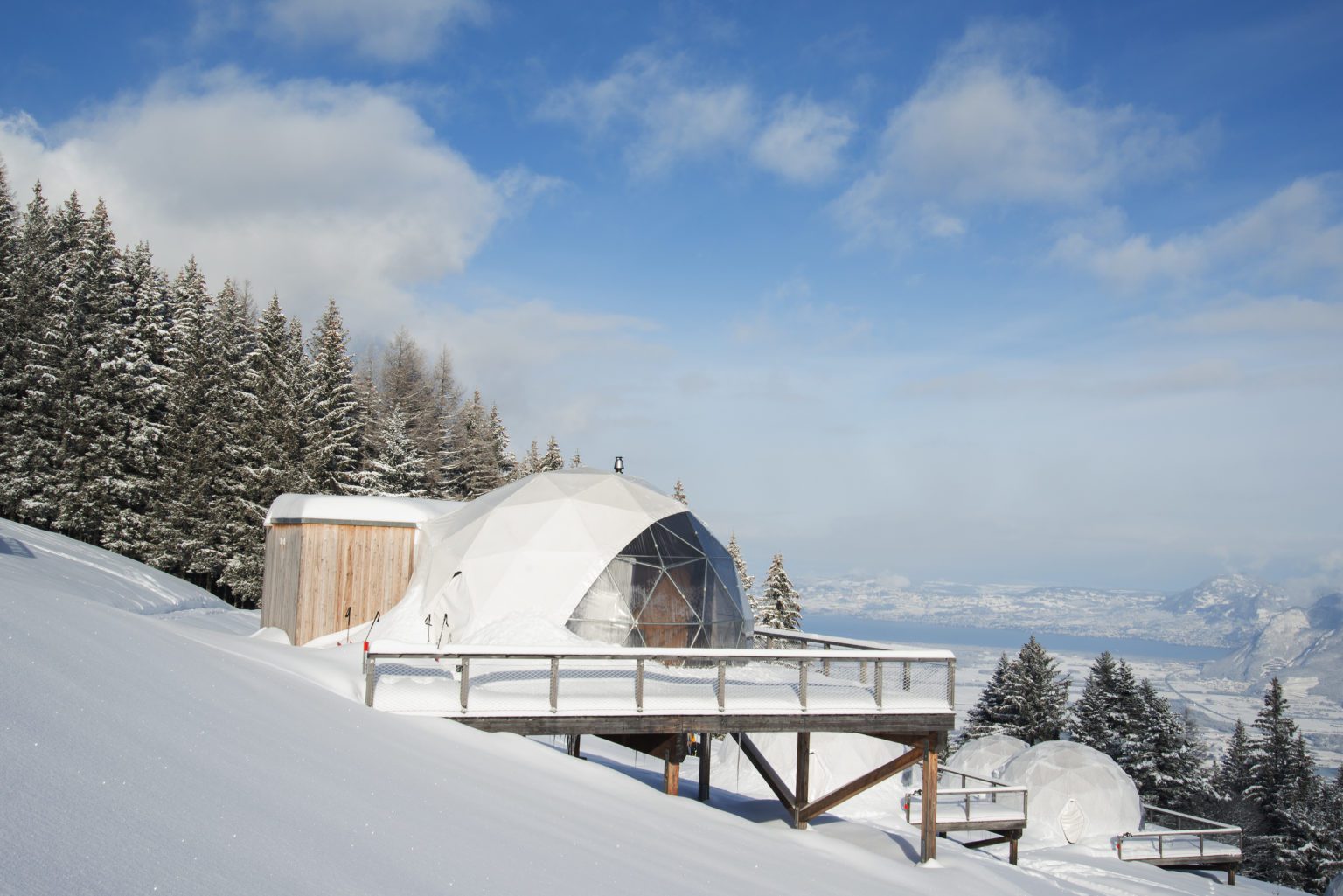 Whitepod Original - Wild at heart